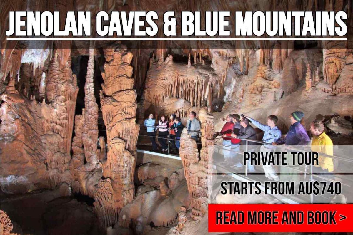 Sydney Tours and Best Value Sydney Private Tours - Daily Sydney Tours